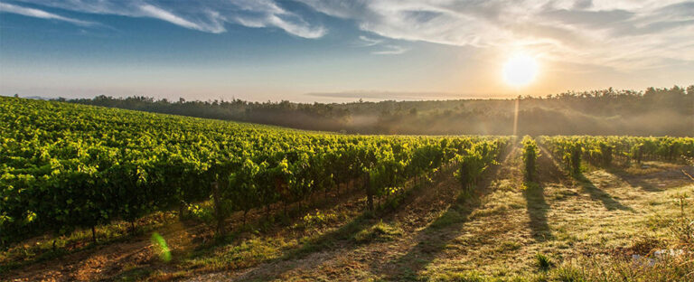 Grand River Valley, Ohio's Wine Country | Lago Cellars Winery & Event ...